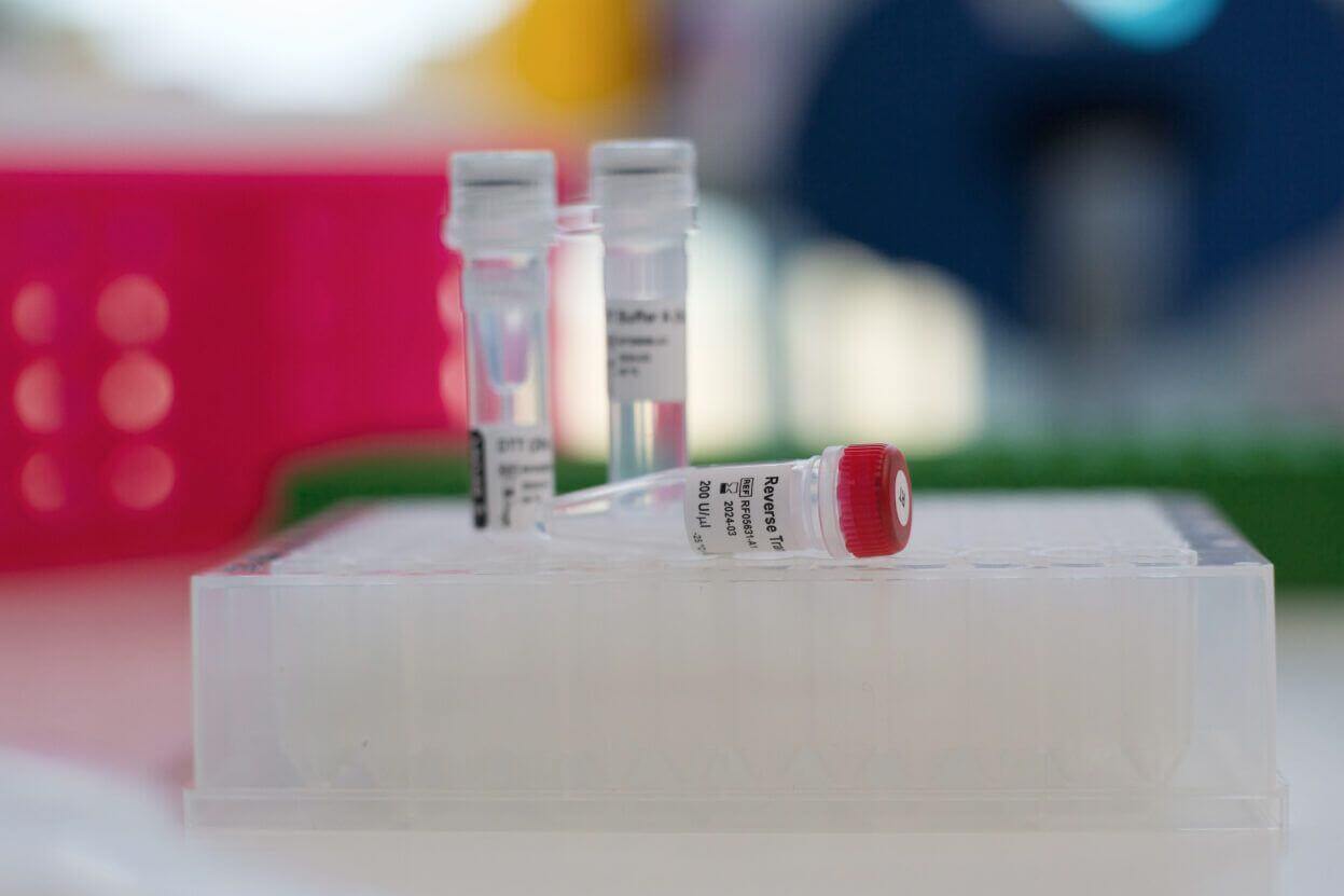 DBScript Reverse Transcriptase: RT with super fast protocol